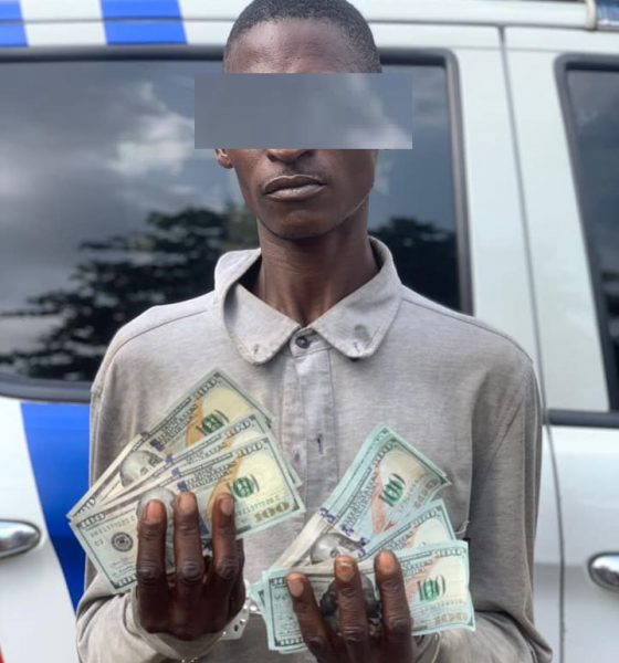 Police Arrest Suspect With Fake Dollar Notes in Computer Village ...