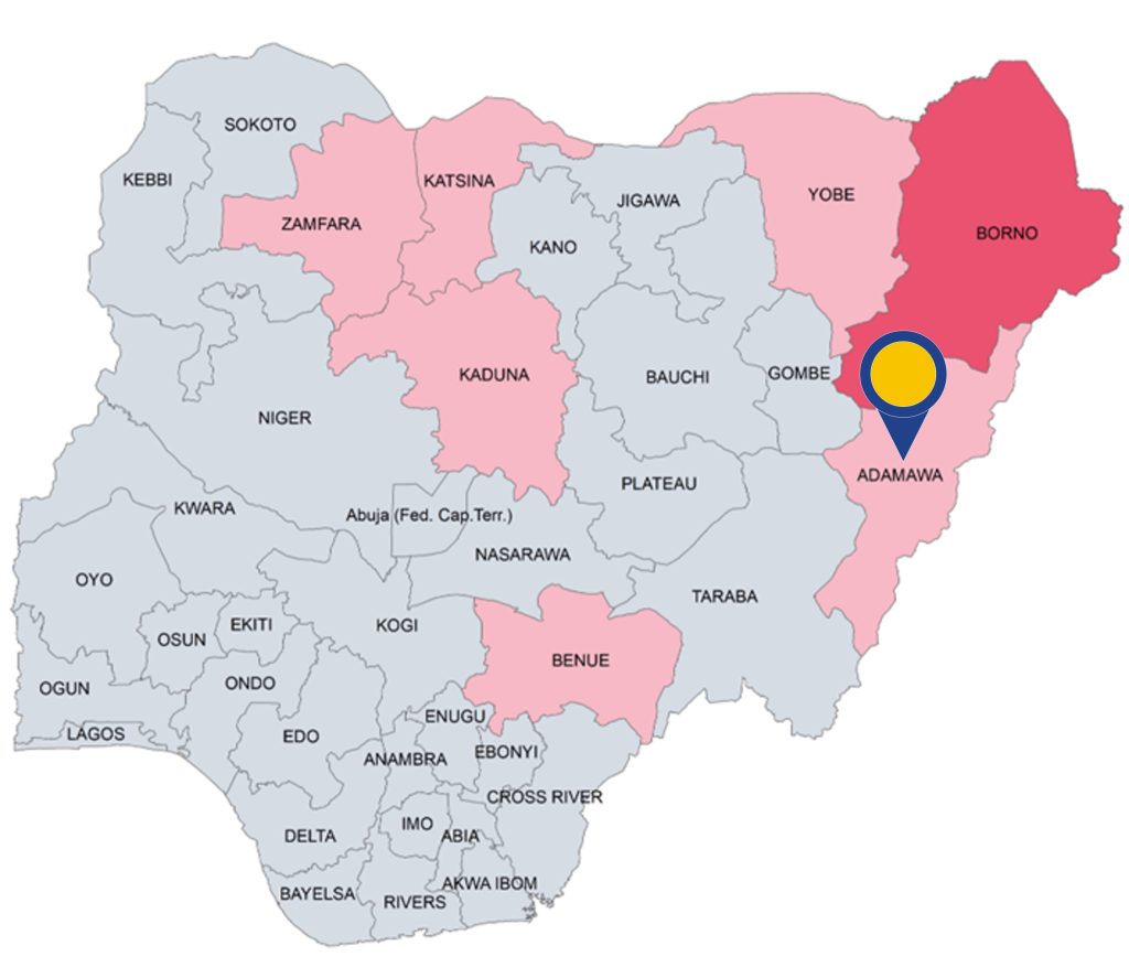 Nigeria Confirms US Airstrikes On ISWAP Targets in Sokoto | Business ...