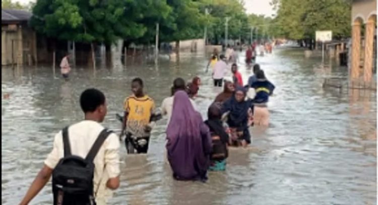 Maiduguri Flood Disaster is a Call for Proactive Emergency Management ...