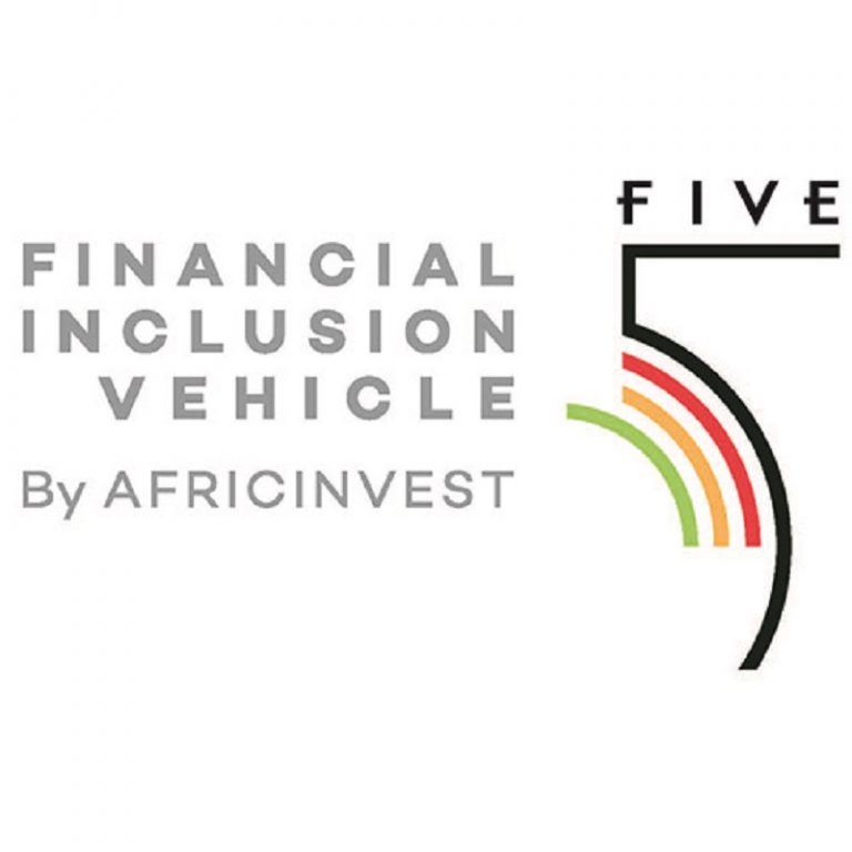 Swedfund Pumps €26m into AfricInvest's FIVE | Business Post Nigeria